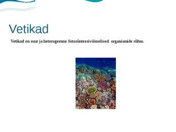 Korallimeri - Esitlus Kõne | Geograafia