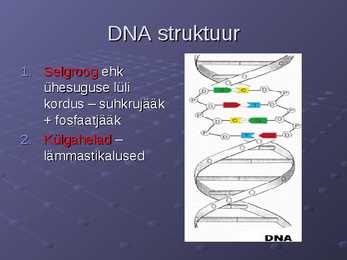 DNA ja RNA | Bioloogia - Molekulaarbioloogia