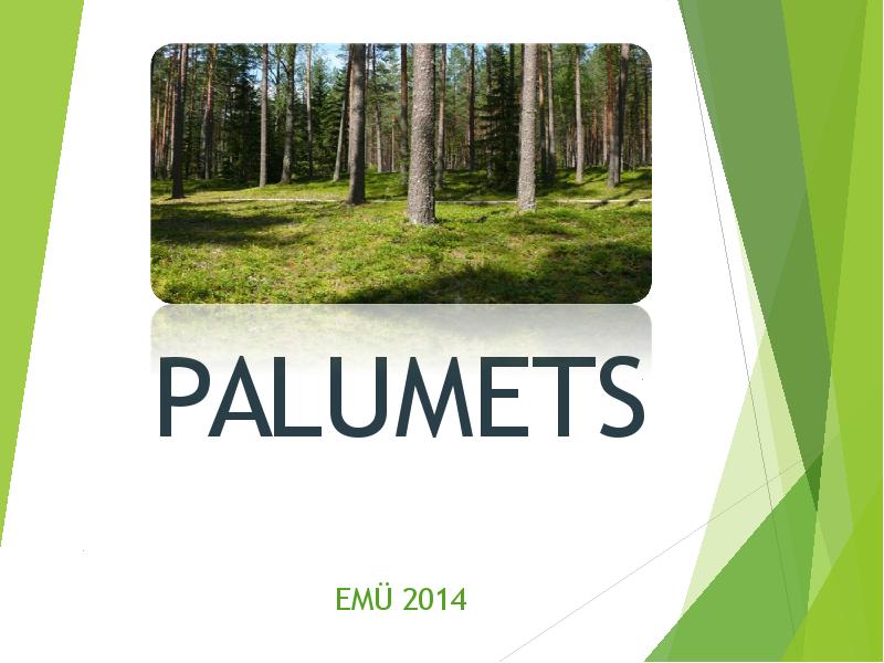 Palumets - Praktika Labori töö | Ökoloogia - Ökoloogia ja keskkonnakaitse
