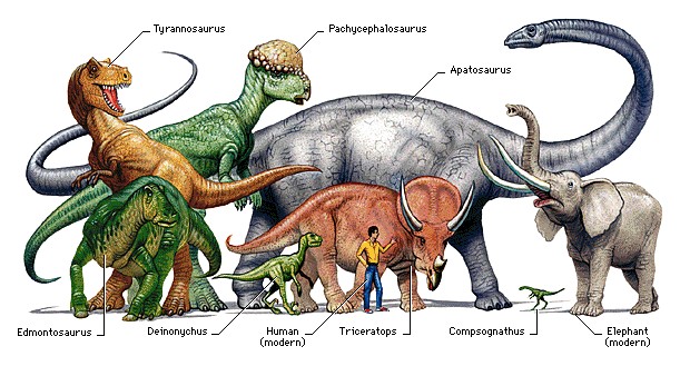 Dinosaurused | Bioloogia