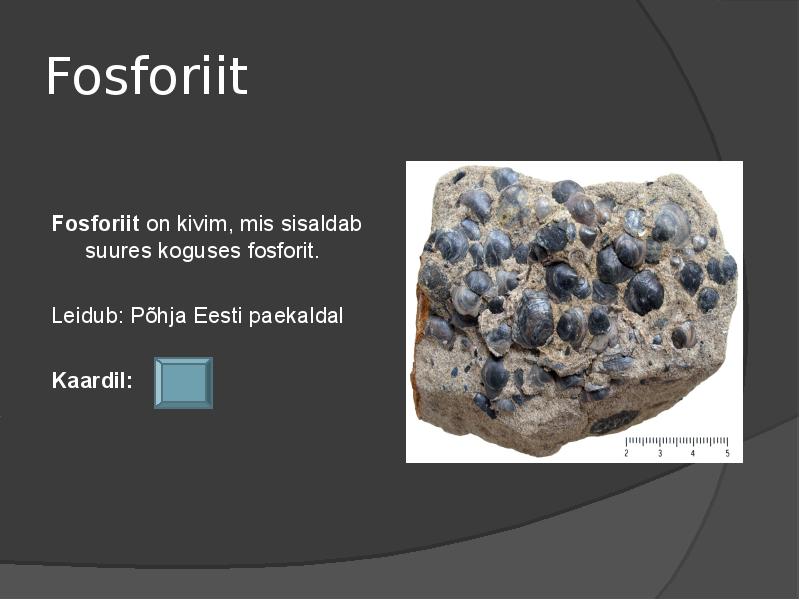 Eesti erinevad kivimid koos leiukohtade kaardiga | Geograafia