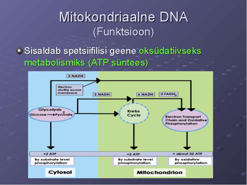 DNA ja RNA | Bioloogia - Molekulaarbioloogia