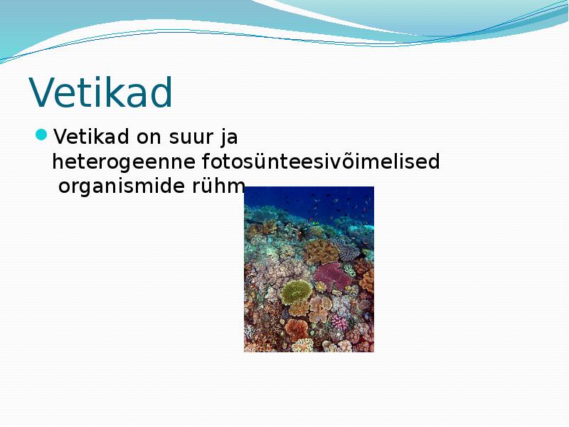 Korallimeri - Esitlus Kõne | Geograafia