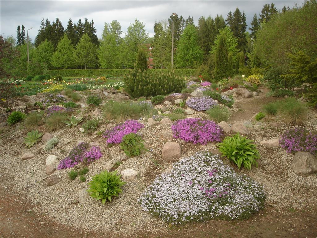 Kiviktaimla rajamine | Maateadus - Haljastus