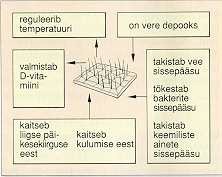 Inimese Anatoomia vastused (koed, elundid ja elundkonnad jne) | Bioloogia